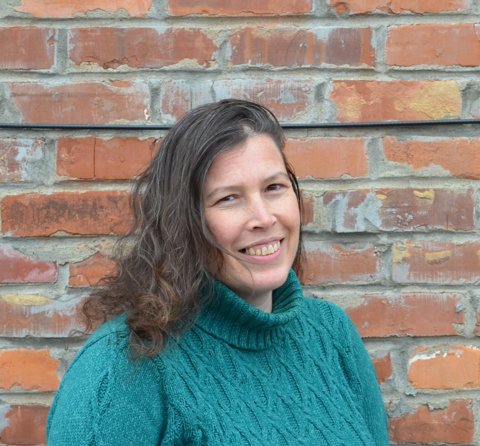 Interview with cozy mystery author Kristine Raymond – lisahaselton.com